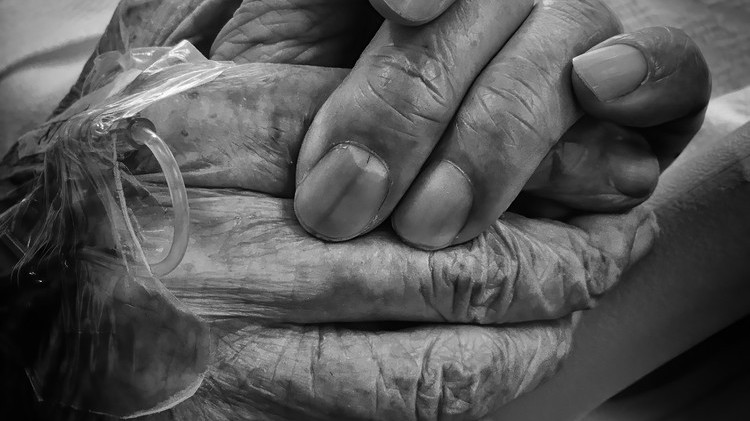 GP Update Course - Stay Updated with Our Primary Care Courses | NB Medical