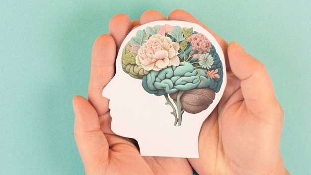 GP Update Course - Stay Updated with Our Primary Care Courses | NB Medical